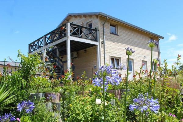 O Gato Do Campo - Viana do Castelo