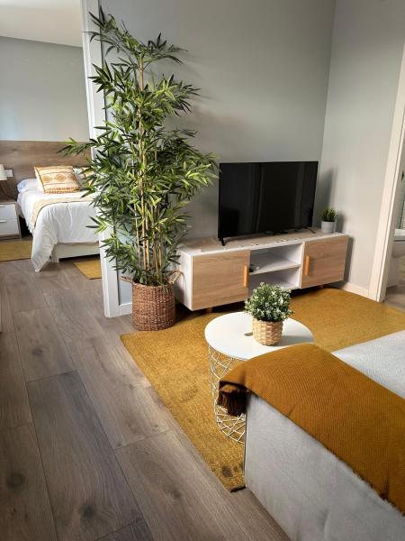 Loft Peregrino - Pontevedra