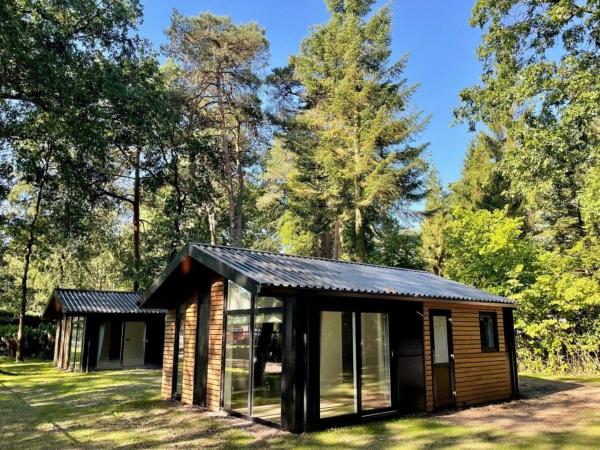 Chalet In Veluwe Near Hoge Veluwe Park - Apeldoorn