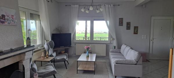 Hill View 4 -