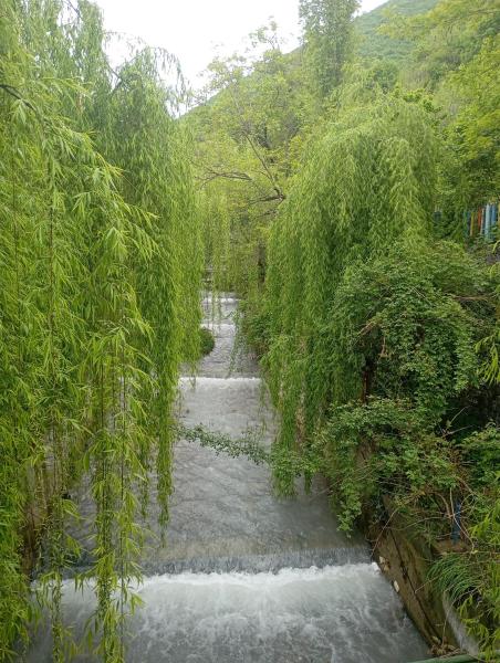 Grandsons Resort - Azerbaijan