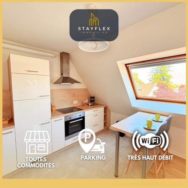 Le Duplex Des Tulipes - Parking Included - Haguenau - Haguenau