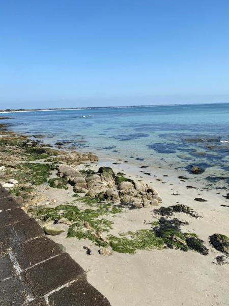 Camping Le Bois D'amour - Île-Tudy