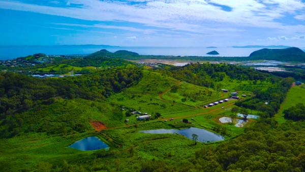 High Valley Dawn Permaculture Farm - Yeppoon