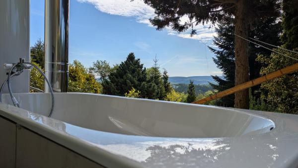 Randfichte - Die Hütte Direkt Am Wald - Sajonia