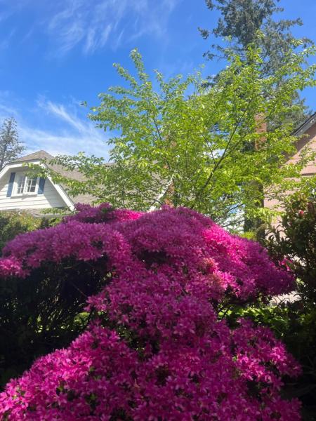 Comfort Two Bedrooms In Vancouver - Richmond