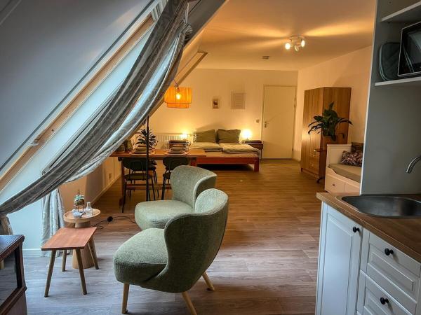 Studio Lodge De Bosuil Bij Bolmeer Lodges - Groningen