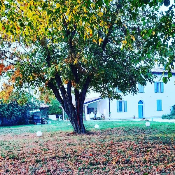 Armonie Di Campagna Rooms & Breakfast Di Valentini Sabina - Casalecchio di Reno