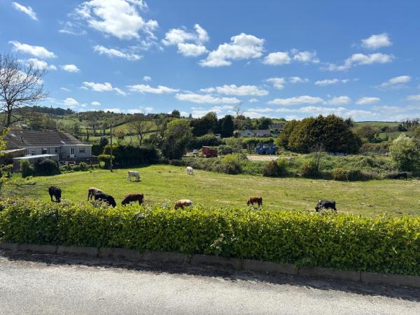 Christinas Cottage Downpatrick - Portaferry