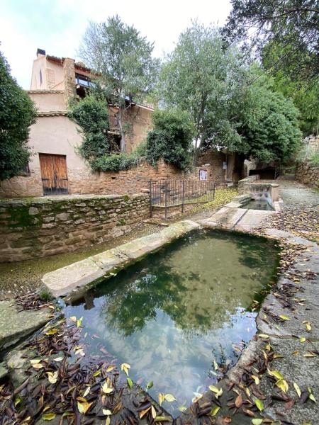 La Falsa De Palacio - Alquézar