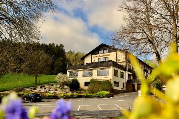Natur & Wander Hotel Gassbachtal - Erbach