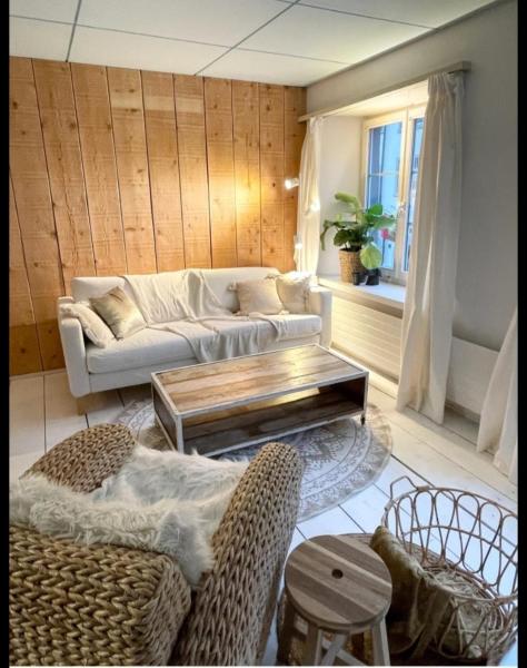 Hygge Style Apartment - Canton of Thurgau