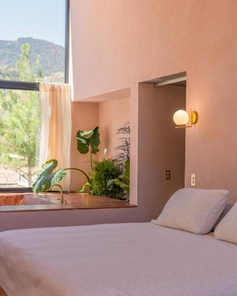La Cabaña Rosa - Querétaro
