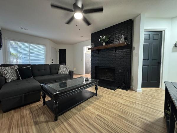 Contemporary Cutie - Lincoln