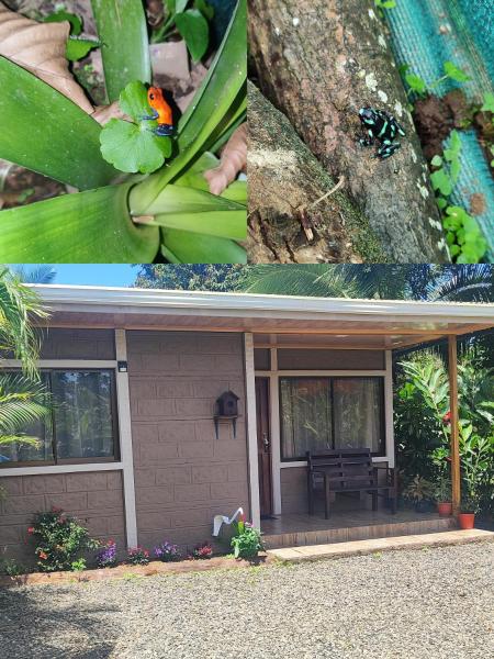 The Bees House - La Fortuna