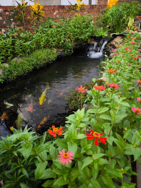 Dok Champa Resort - Laos