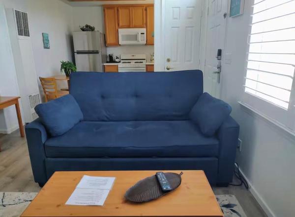 Pacific Plaza #409 - Peaceful Pearl - 1bdrmup-k-qsofa - Pismo Beach, CA
