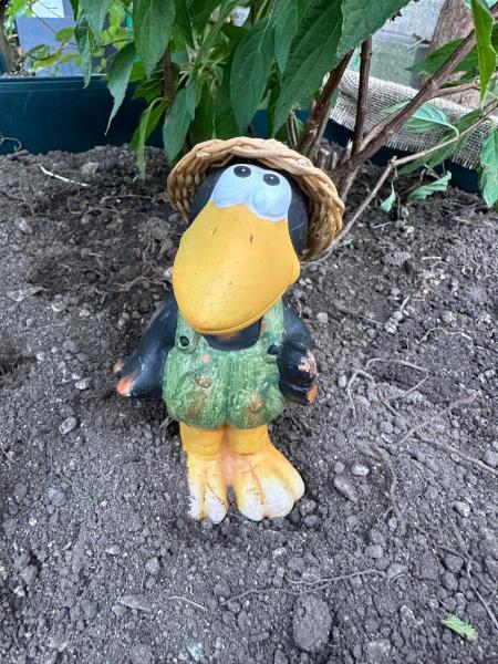 Nest & Rest Garden Stay With Free Parking - Salzburg