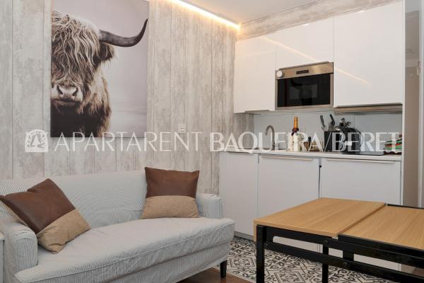 Apartarent 1500 - Estudio ÀNeu - Baqueira