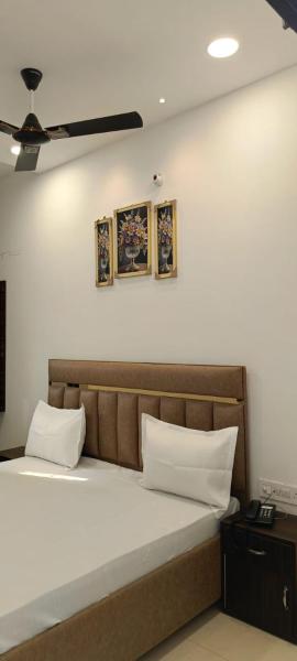 The White Solitaire - Unit 3 - Ludhiana