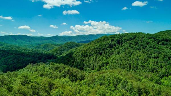 Near Dollywood Resort Amenities Included - Pigeon Forge, TN