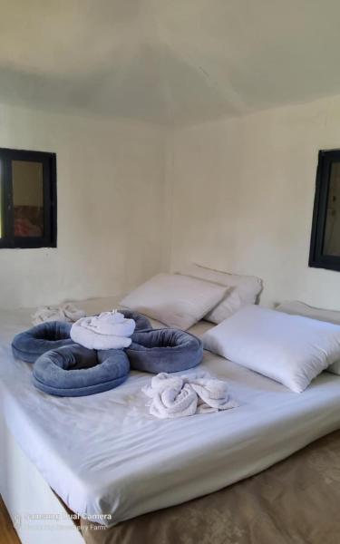 Second Floor Air-conditioned Room On Family Hut Or Dampang Pampamilya Bamboo House - Solano