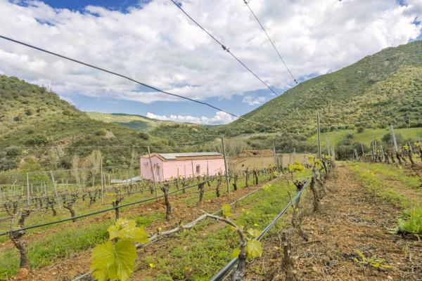 Podere Is Tres Fradis - Sardaigne