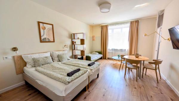 Apartment In Zizkov -504- - Prag