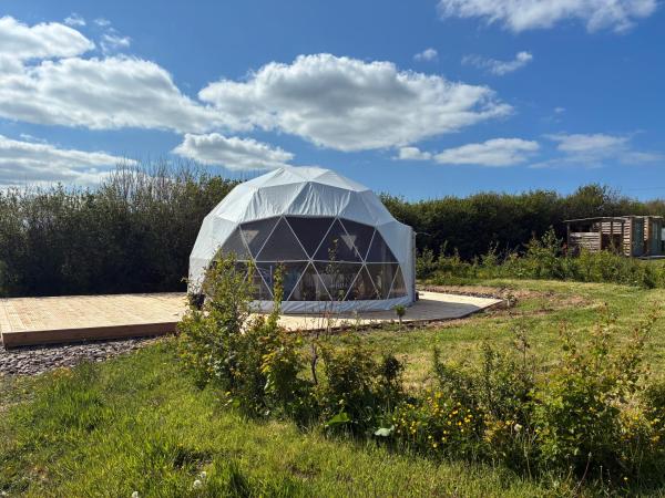 Dyers Meadows Camping - Cornouailles