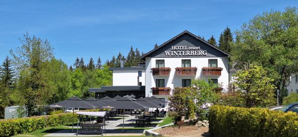 Hotel Winterberg Resort - Altastenberg