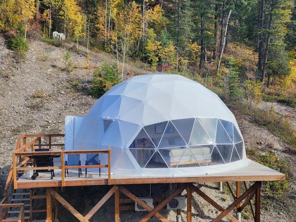 Alpenrose Dome - Golden