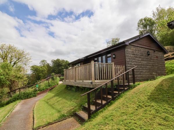 Chalet Log Cabin C11 - North Devon