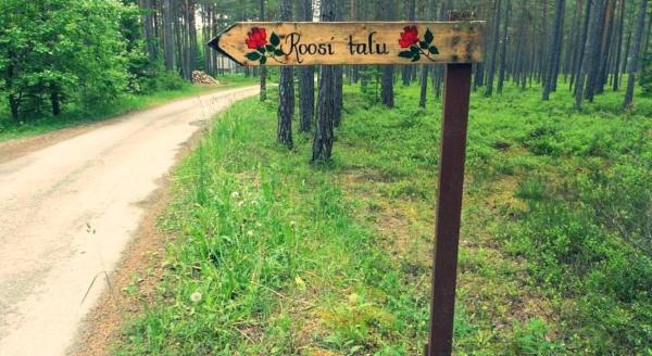 Roosi Camping Houses - Estland