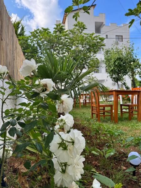 Central Garden Residence Sofia - Free Parking - Kassiopi