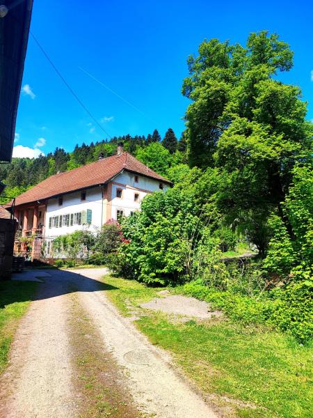 La Demeure Des Forges - Elsass