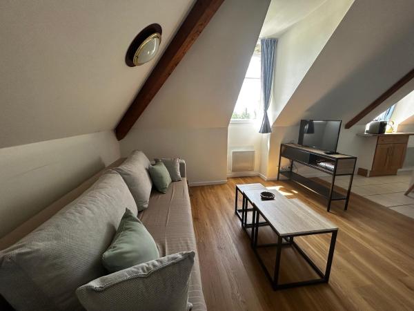 T2 Rénové Avec Piscine Chauffée Proche Thermes, Parking Et Wifi - Fr-1-541-164 - La Roche-Posay