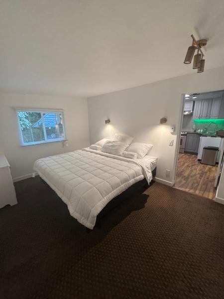 Sasha-home 538 Brookmere Ave - Coquitlam