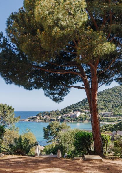 Résidence Le Télémaque - Corsica