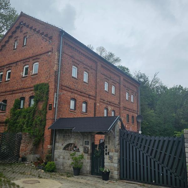 Krzywa Apartamenty - Mazury