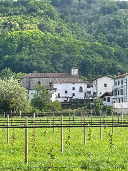 Casa Apezteguia - Navarre