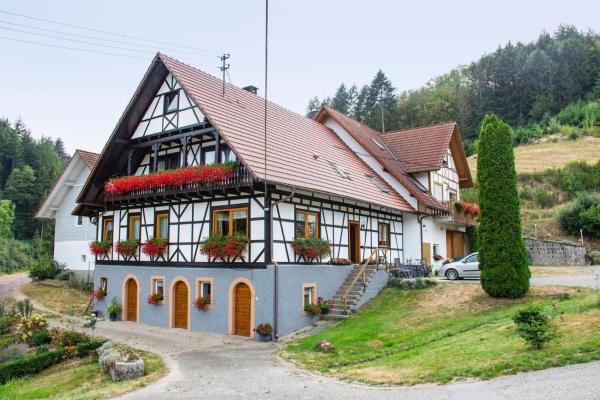 Ferienwohnung Steinhof - Oberkirch