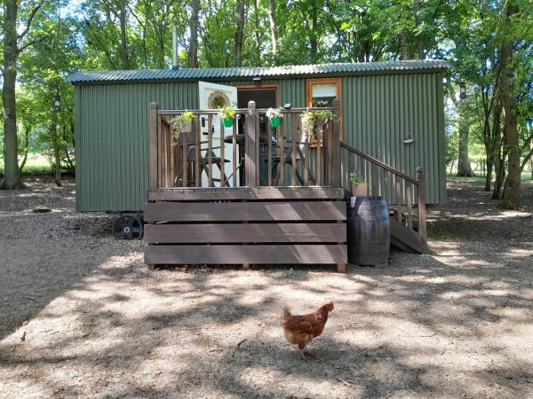 Little Greenwood Shepherd Hut - Leeds Castle