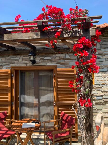 Georgia's House Sykia - Sarti