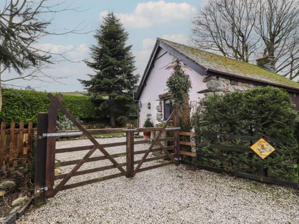 Hafoty Boeth Cottage - Ruthin