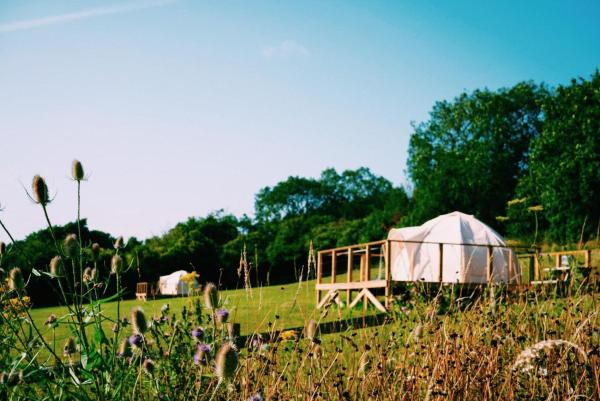 The Paddocks Glamping - Cheddar