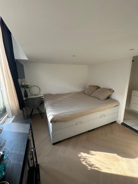 Waalplaat's B&b - Zaandam
