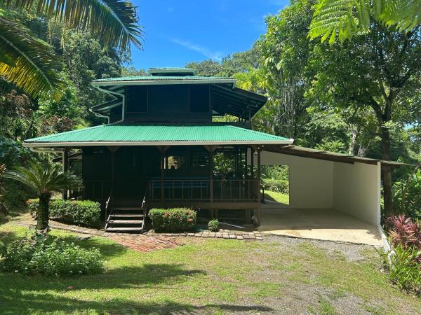 Delfín Del Sendero - Limon