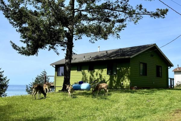 Sea Escape At Spruce Overlook - Shelter Cove, CA