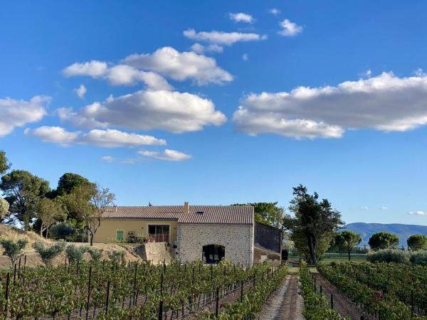 Domaine Saint Antoine - Aude