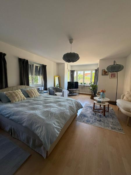 Mtl Schweiz Apartments - Constance